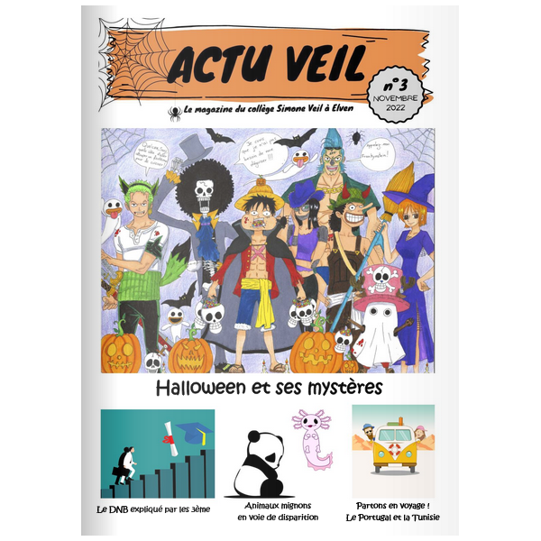 Actu Veil 3 - Collège Simone Veil